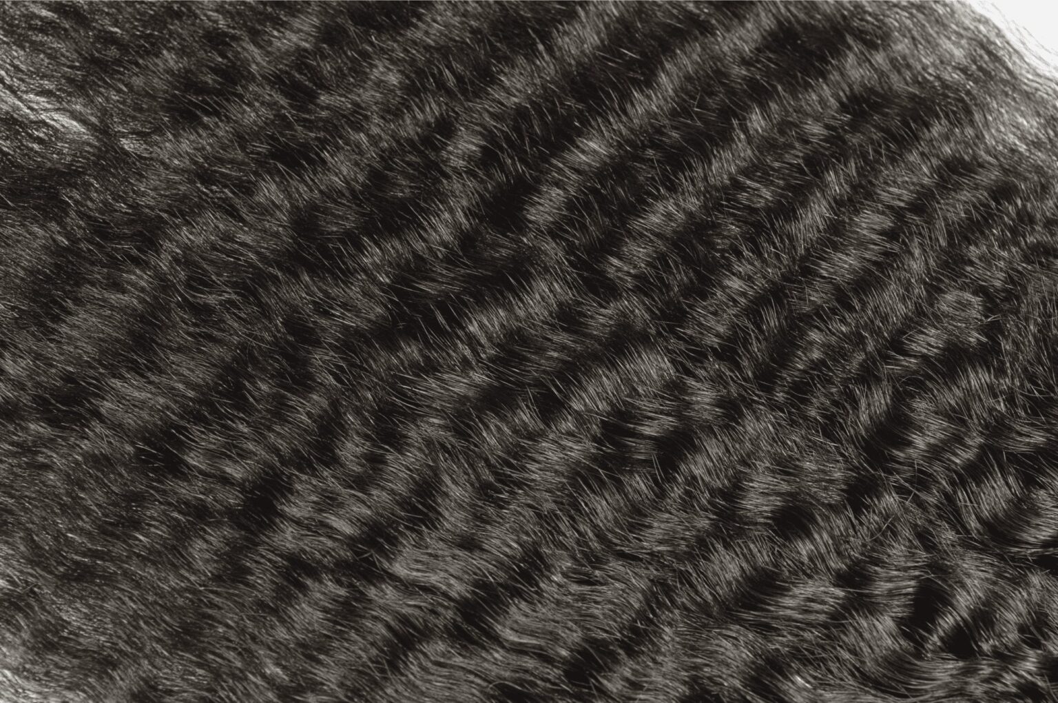 What Is Coarse Hair? | Everything You Need to Know