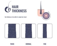 What Is Coarse Hair? | Everything You Need to Know