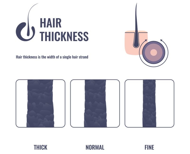 What Is Coarse Hair Called Kirby Valadez What Is Coarse Hair Called Kirby Valadez