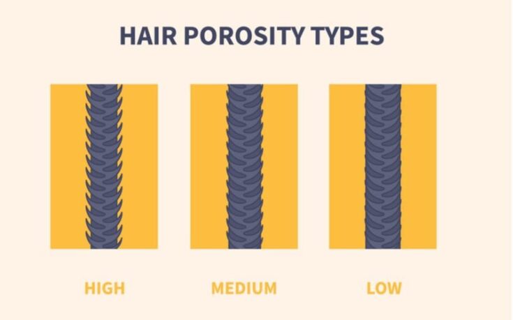 What Is Hair Porosity? | And Why Does It Matter?