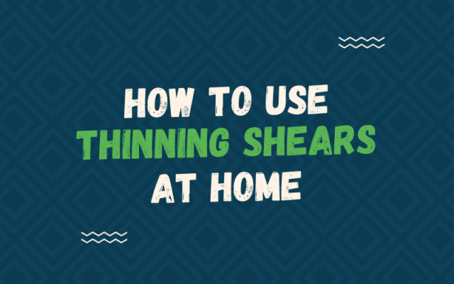 How to Use Thinning Shears | Step-by-Step Guide | You Probably Need a ...