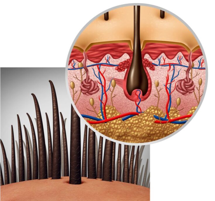 What Is Hair Cracking, AKA Scalp Popping? | (Thanks TikTok)
