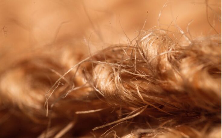 How to Get Rid of Flyaways | 12 Simple Tricks