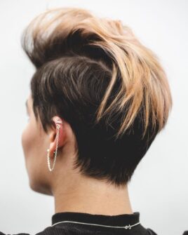 15 Skunk Stripe Hairstyles That Slay in 2026