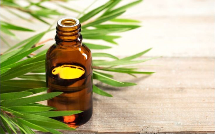 Tea Tree Shampoo | Our Top 5 Picks & Buying Guide