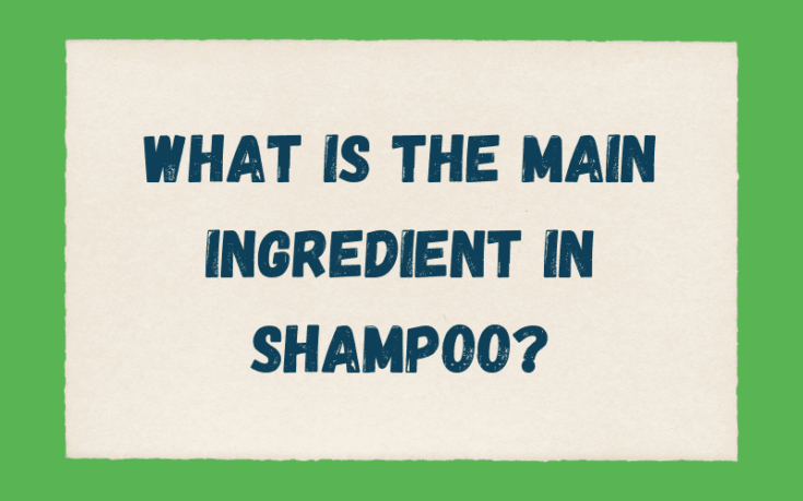 What Is the Main Ingredient in Shampoo? | A Detailed Guide