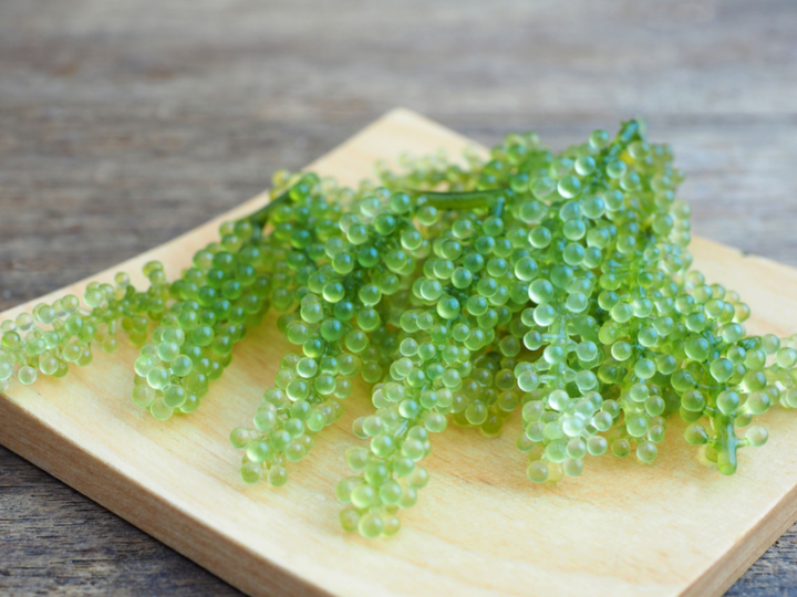 What Is Green Caviar in Shampoo? | A Detailed Guide