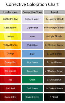 Color Wheel Hair Theory | How to Create Your Perfect Shade