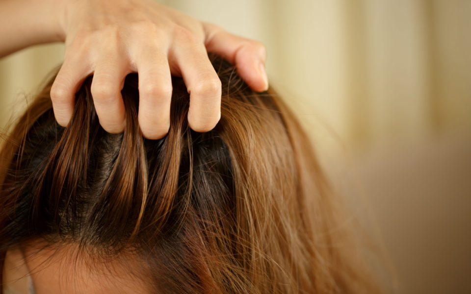 What Is Sebum in Hair? | An Overly-Detailed Guide