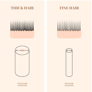 Human Hair Thickness in 2023 | An Overly-Detailed Guide