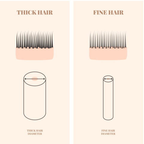Human Hair Thickness in 2023 | An Overly-Detailed Guide