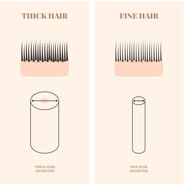 Human Hair Thickness in 2023 | An Overly-Detailed Guide
