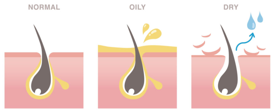 What Is Sebum in Hair? | An Overly-Detailed Guide